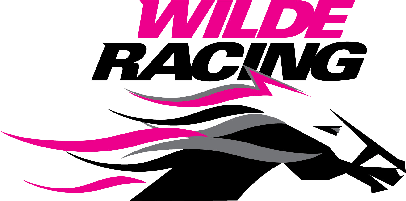 Congratulations! The PNG Image Has Been Downloaded (Wilde Racing ...