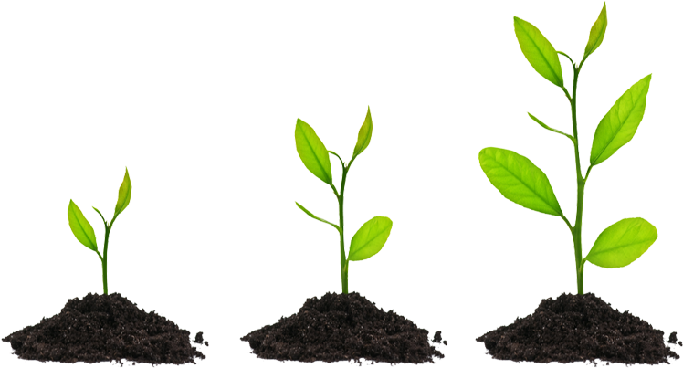 Congratulations! The PNG Image Has Been Downloaded (Grow- - Growing ...