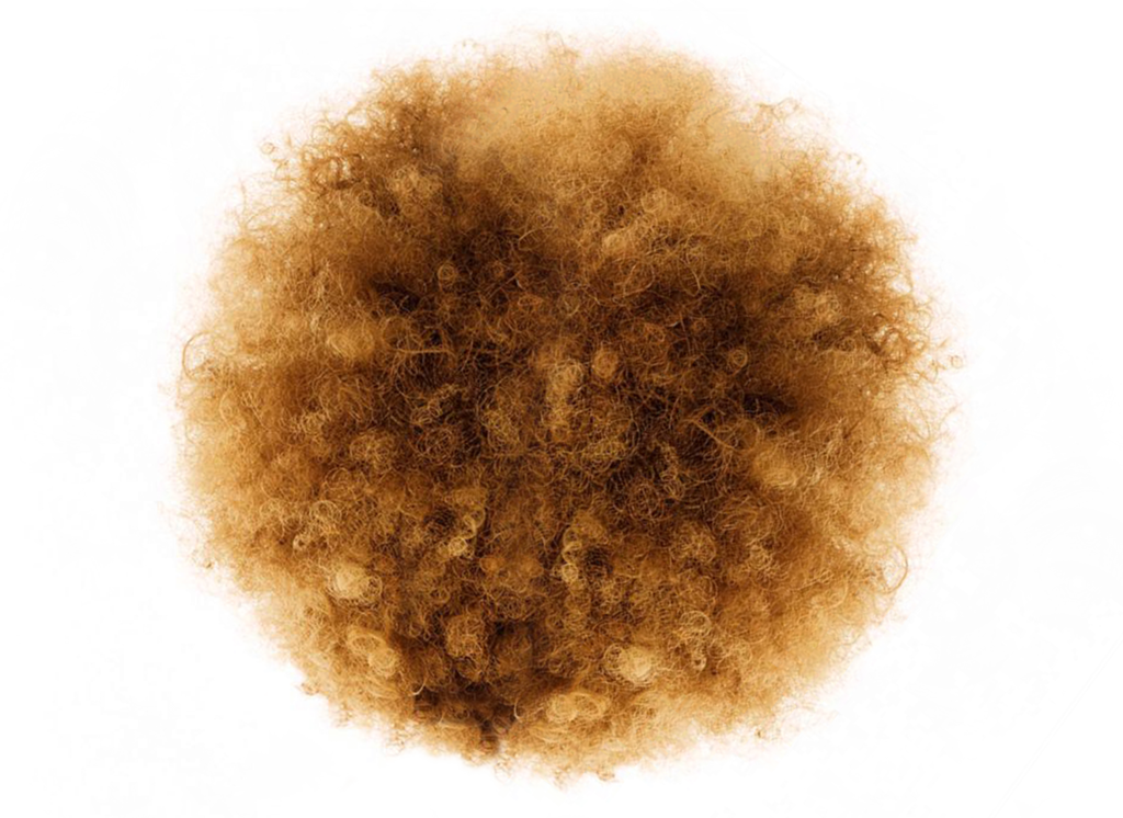 Congratulations! The PNG Image Has Been Downloaded (Brown Afro Png ...