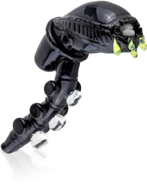 Congratulations! The PNG Image Has Been Downloaded (Empire Glassworks ...