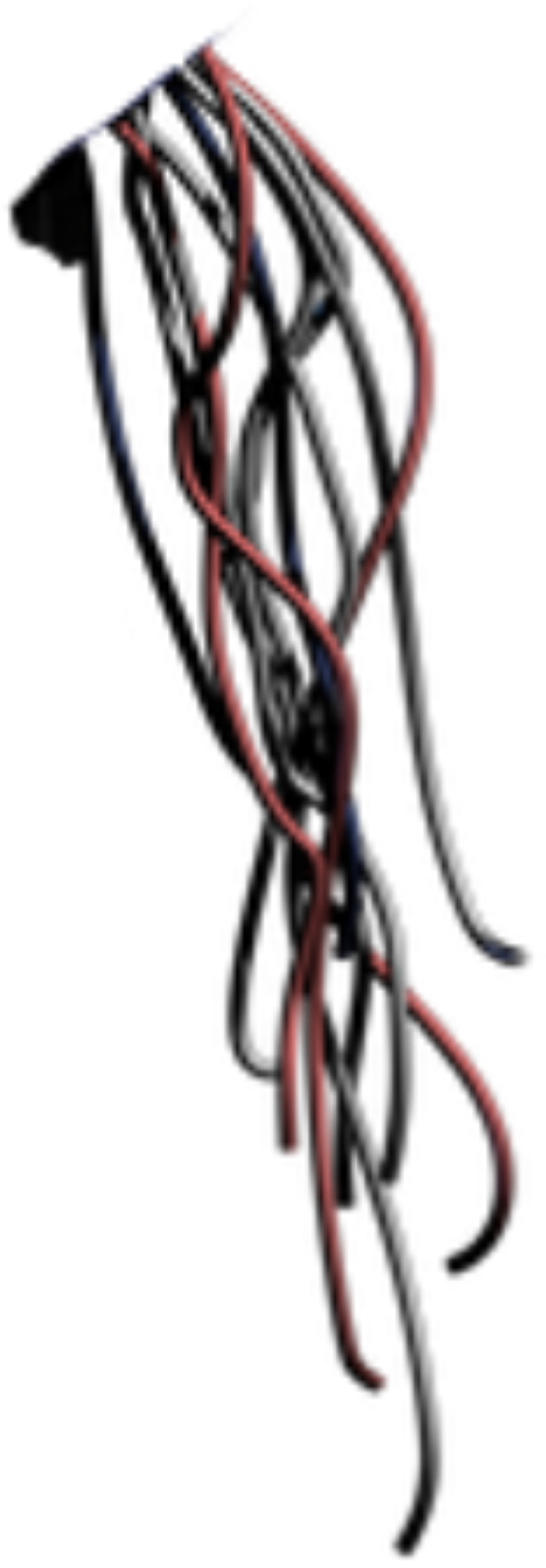 Congratulations! The PNG Image Has Been Downloaded (#fnaf Wires, HD Png ...