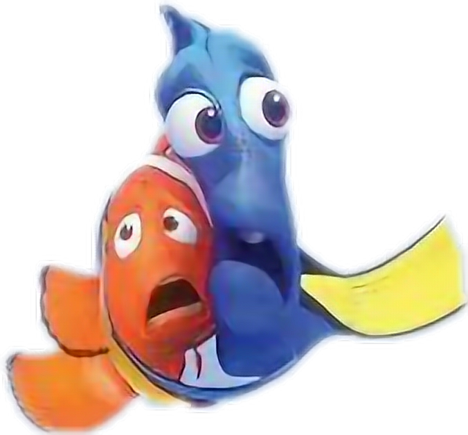 Congratulations! The PNG Image Has Been Downloaded (#nemo Dory Scare ...
