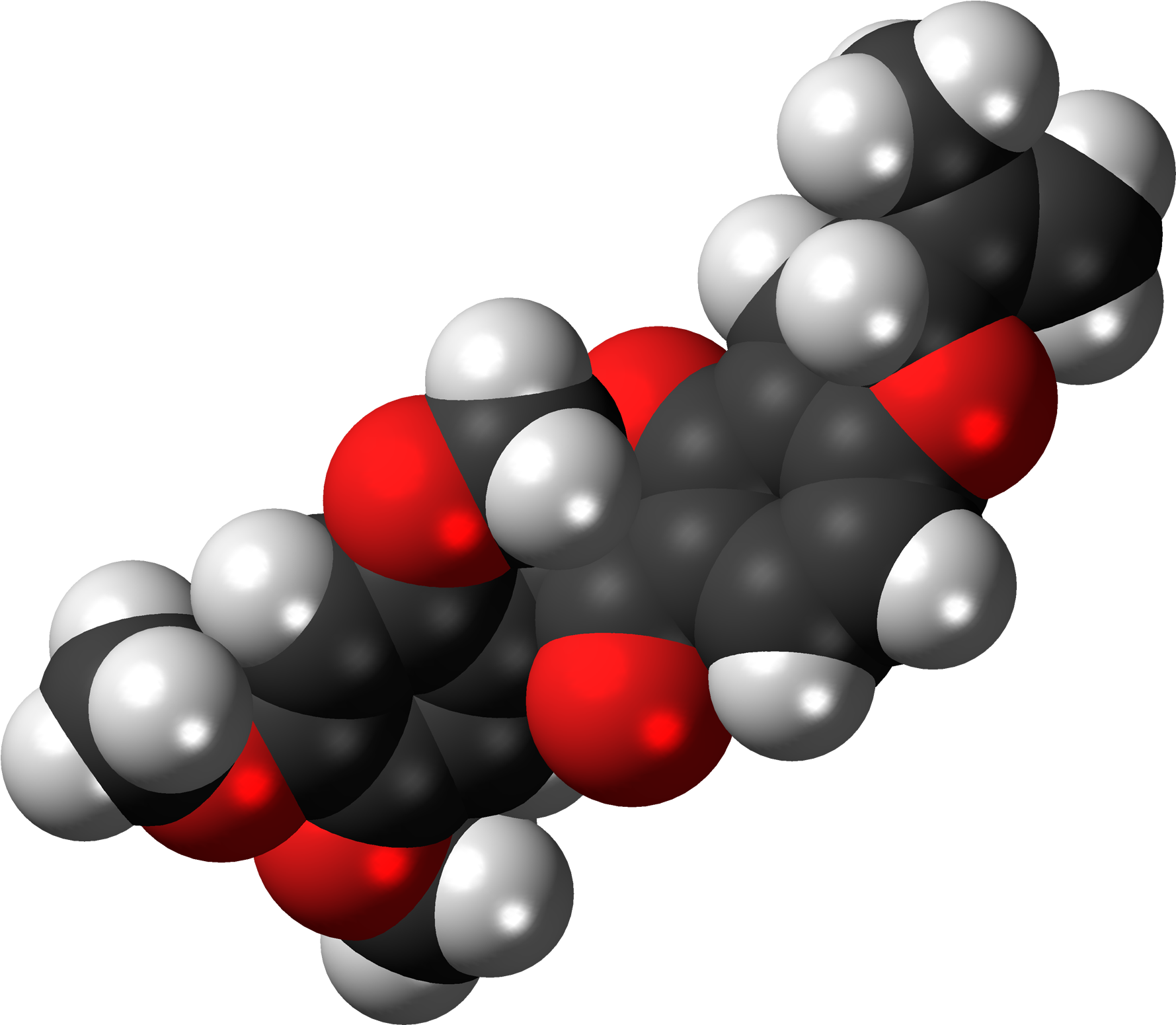 Congratulations! The PNG Image Has Been Downloaded (Transparent Space ...