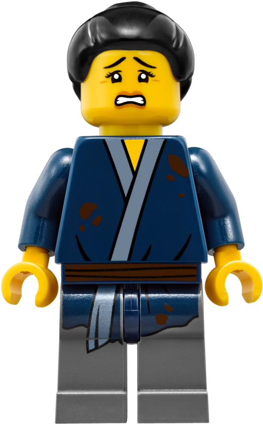 Congratulations! The PNG Image Has Been Downloaded (Lego Ninjago Movie ...