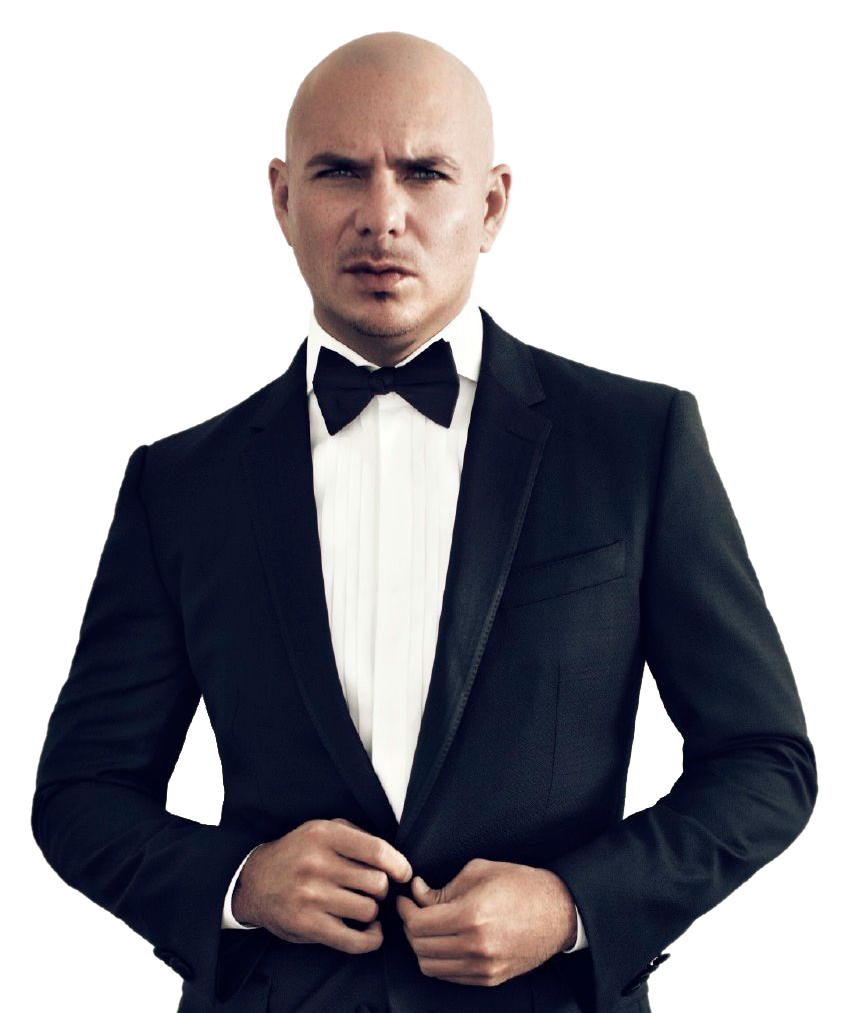 Congratulations! The PNG Image Has Been Downloaded (Pitbull Artist Png ...