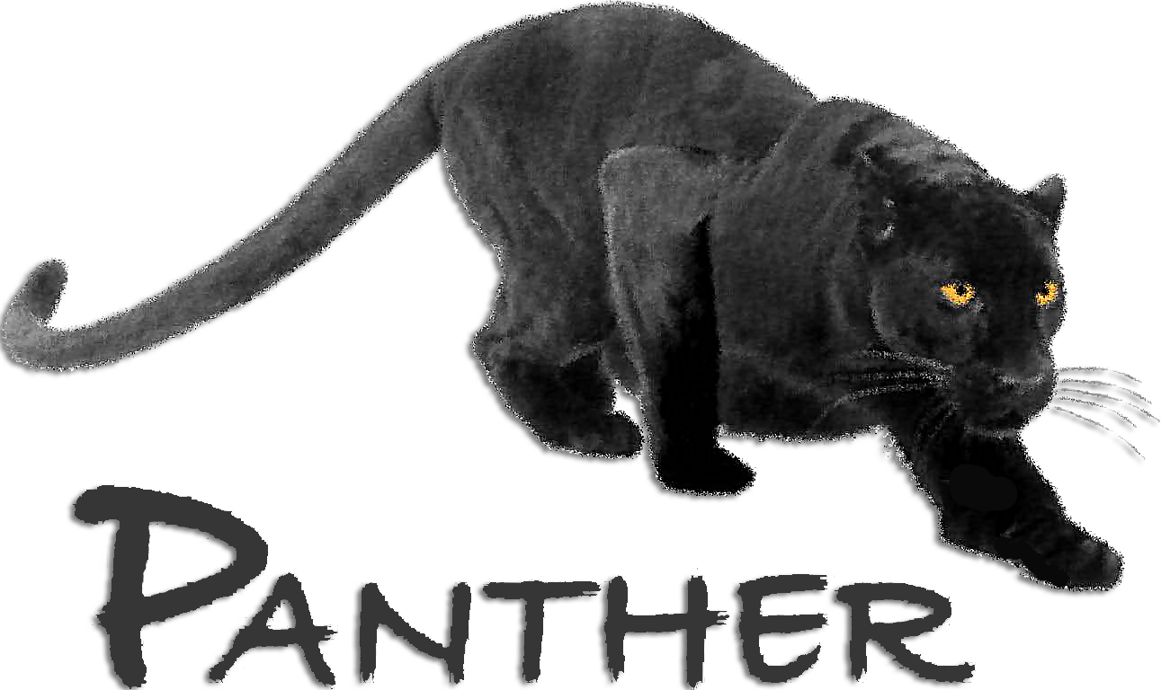 Congratulations! The PNG Image Has Been Downloaded (Transparent Panther ...