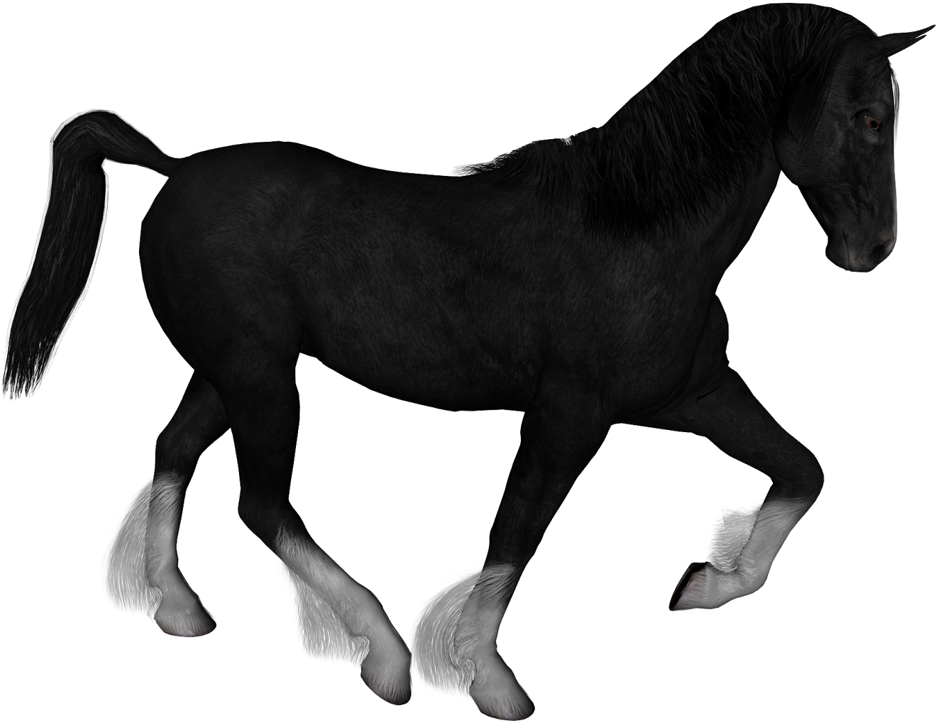 Congratulations! The PNG Image Has Been Downloaded (Kuda Png ...