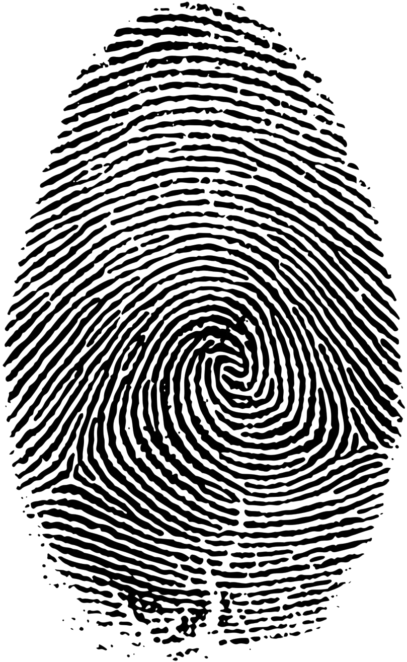 Congratulations! The PNG Image Has Been Downloaded (Transparent ...