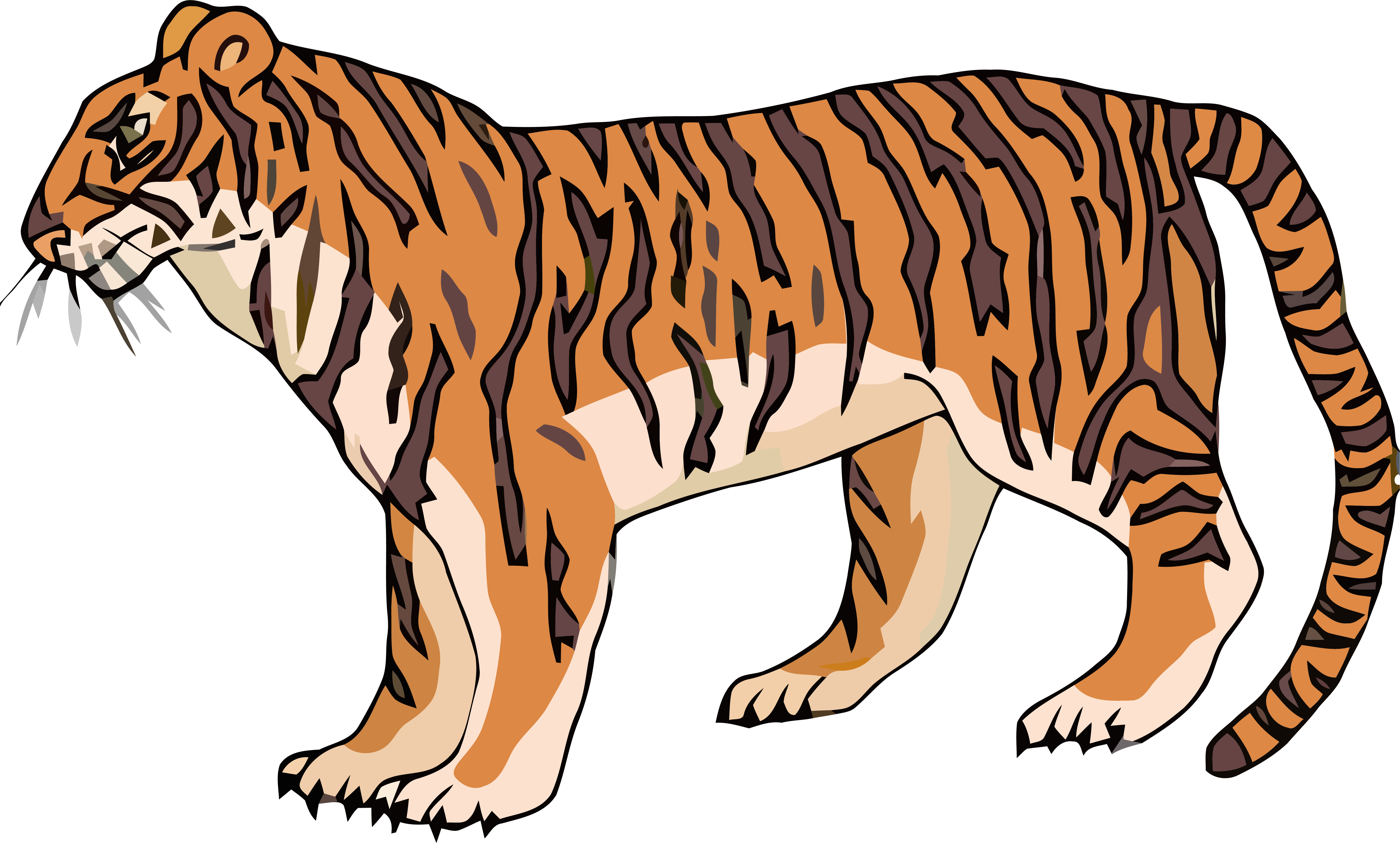 Congratulations! The PNG Image Has Been Downloaded (Tiger Png Image ...