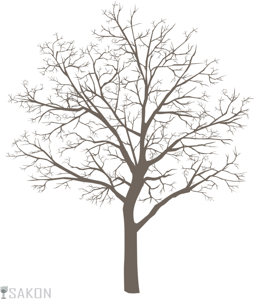 Congratulations! The PNG Image Has Been Downloaded (Trees Drawing Png ...