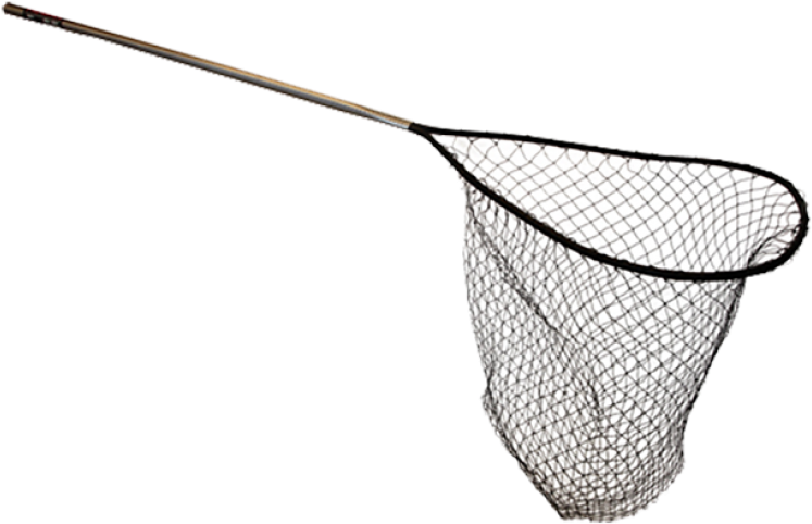 Congratulations! The PNG Image Has Been Downloaded (Netting Clip Art ...