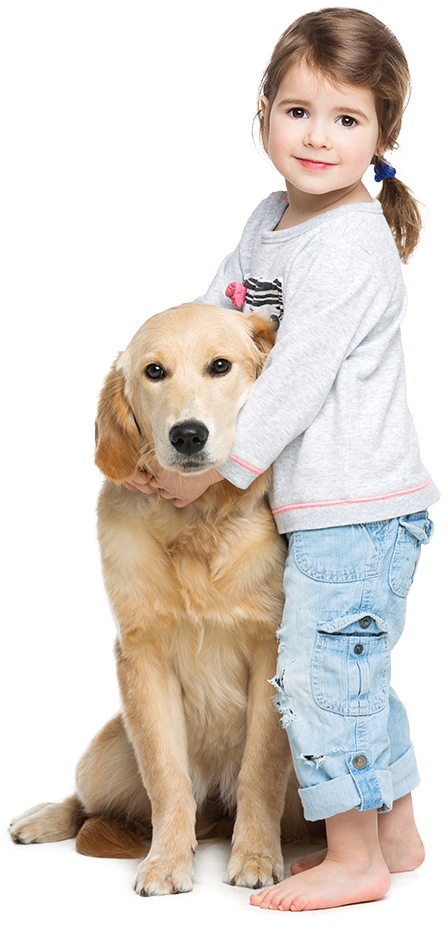 Congratulations! The PNG Image Has Been Downloaded (Pet Png ...