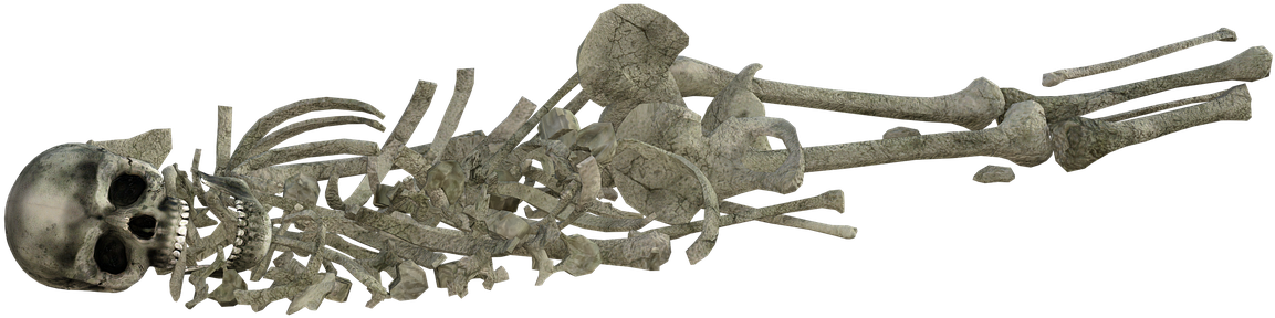 Congratulations! The PNG Image Has Been Downloaded (Pile Of Bones Png ...