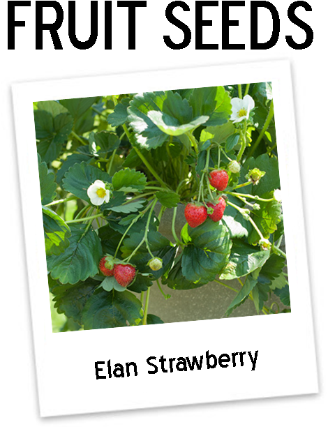Congratulations! The PNG Image Has Been Downloaded (Eversweet ...
