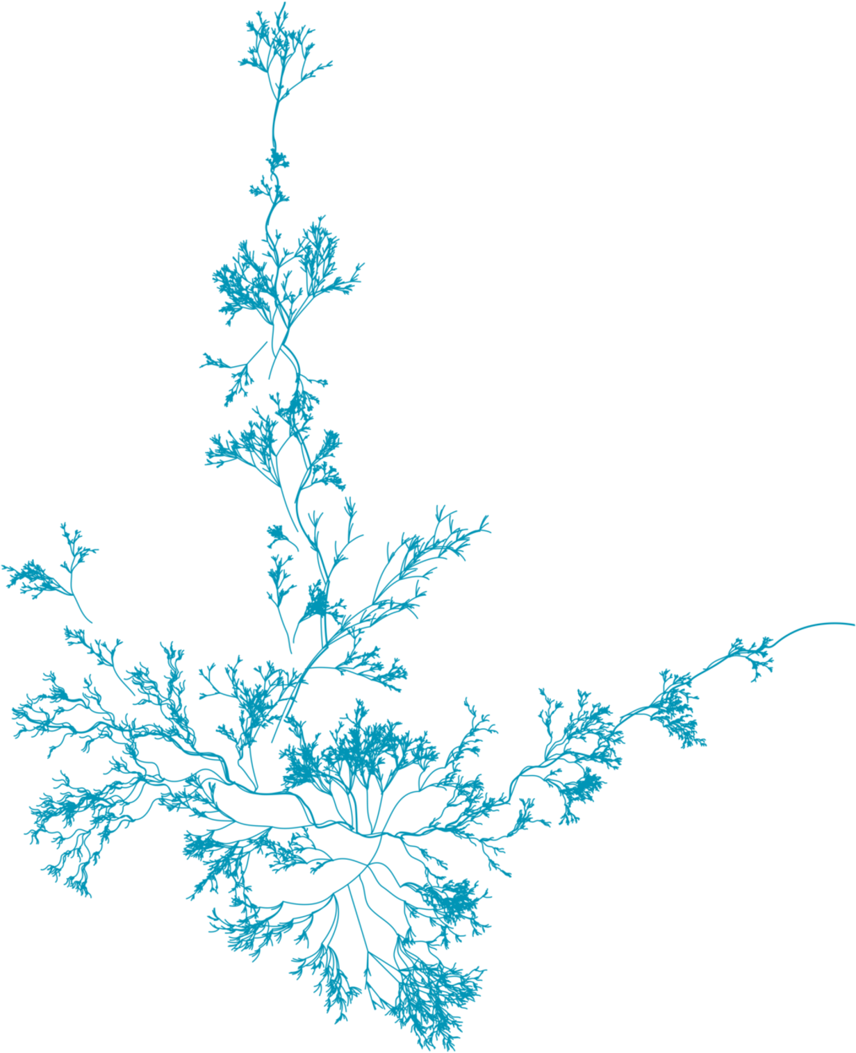 Congratulations! The PNG Image Has Been Downloaded (3d Paint Splash Png ...