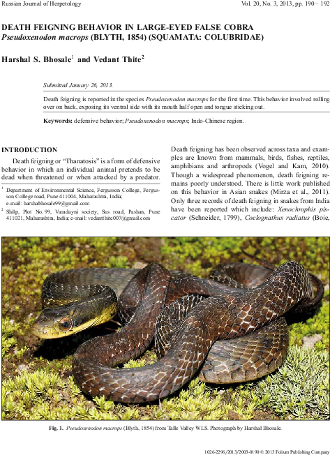 Congratulations! The PNG Image Has Been Downloaded (Snake Tongue Png ...