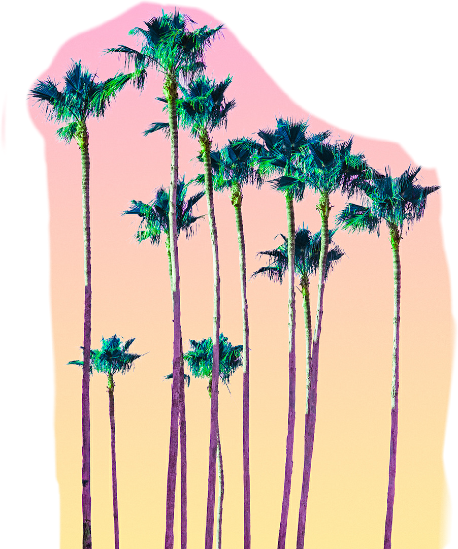 Congratulations! The PNG Image Has Been Downloaded (Transparent Neon ...