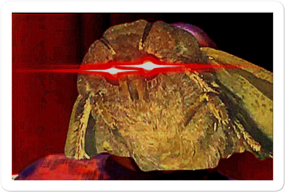 Congratulations! The PNG Image Has Been Downloaded (Red Eye Meme Png ...