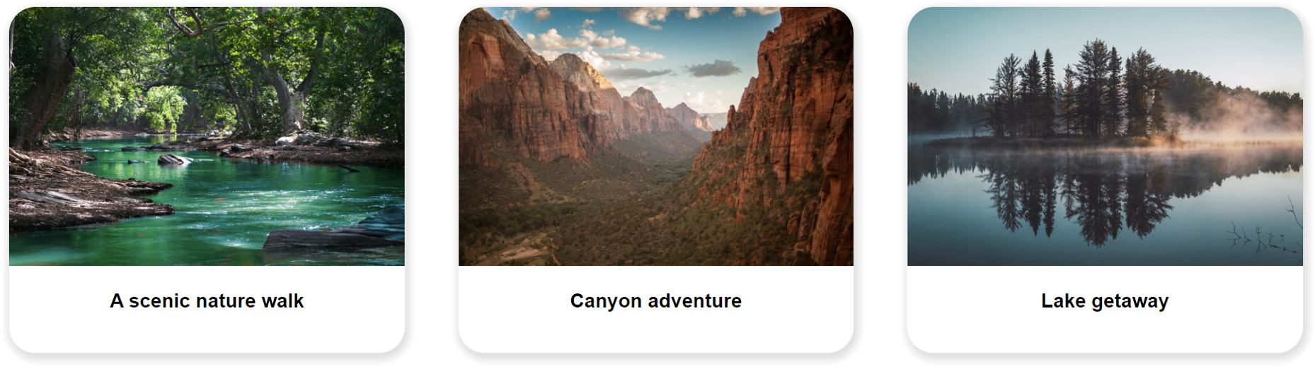 Congratulations! The PNG Image Has Been Downloaded (Polaroids Png ...