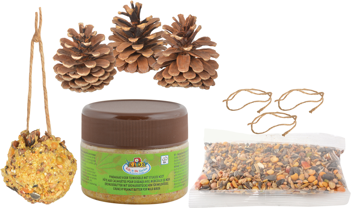 Congratulations! The PNG Image Has Been Downloaded (Diy Bird Food Pine ...