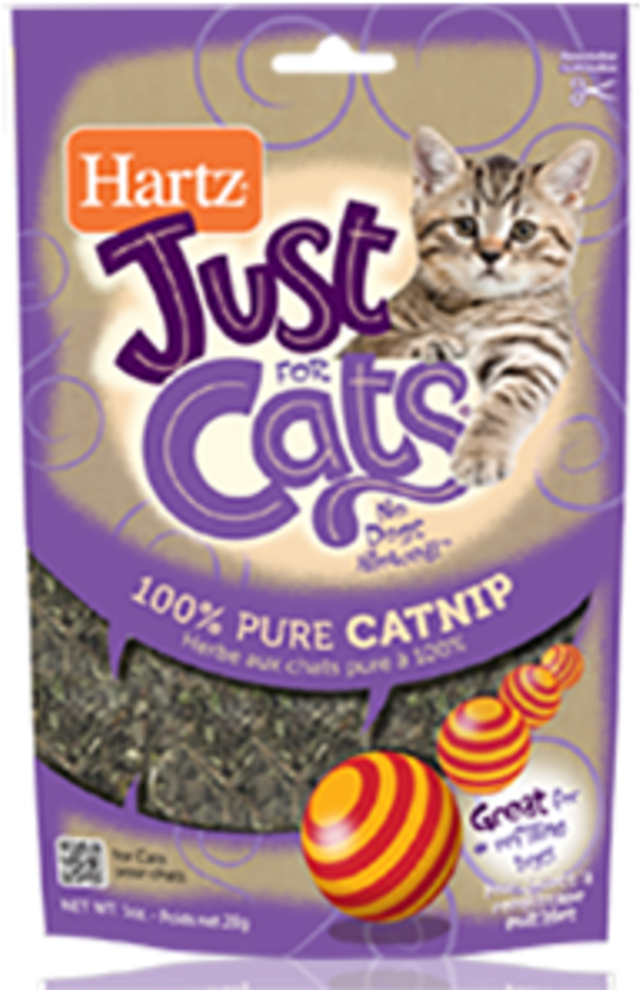 Congratulations! The PNG Image Has Been Downloaded (Catnip Just For ...