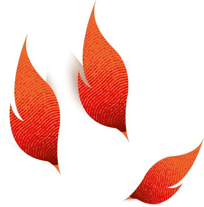 Congratulations! The PNG Image Has Been Downloaded (Png Hot Spicy , Png ...