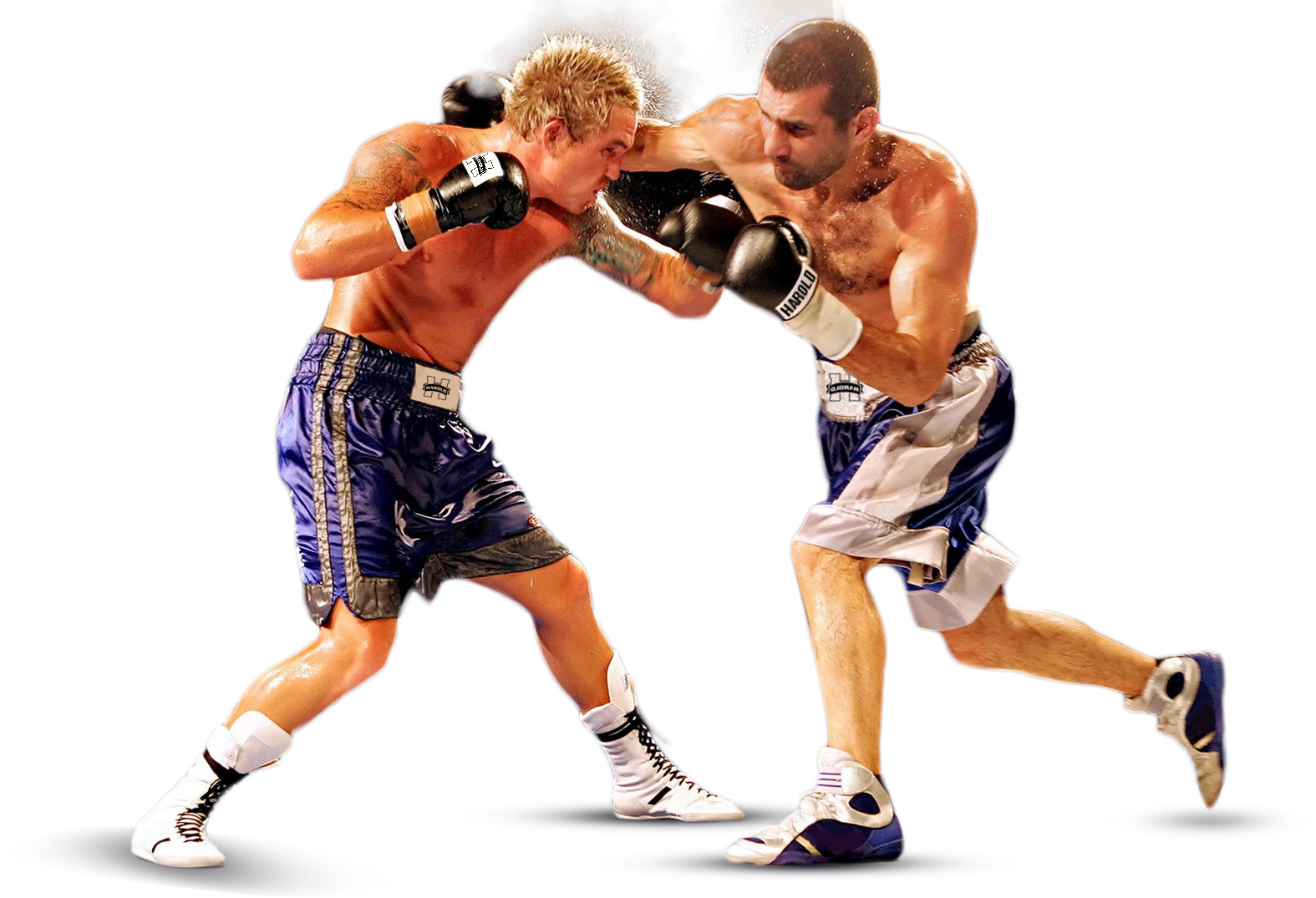 Congratulations! The PNG Image Has Been Downloaded (Boxing Belt Png ...