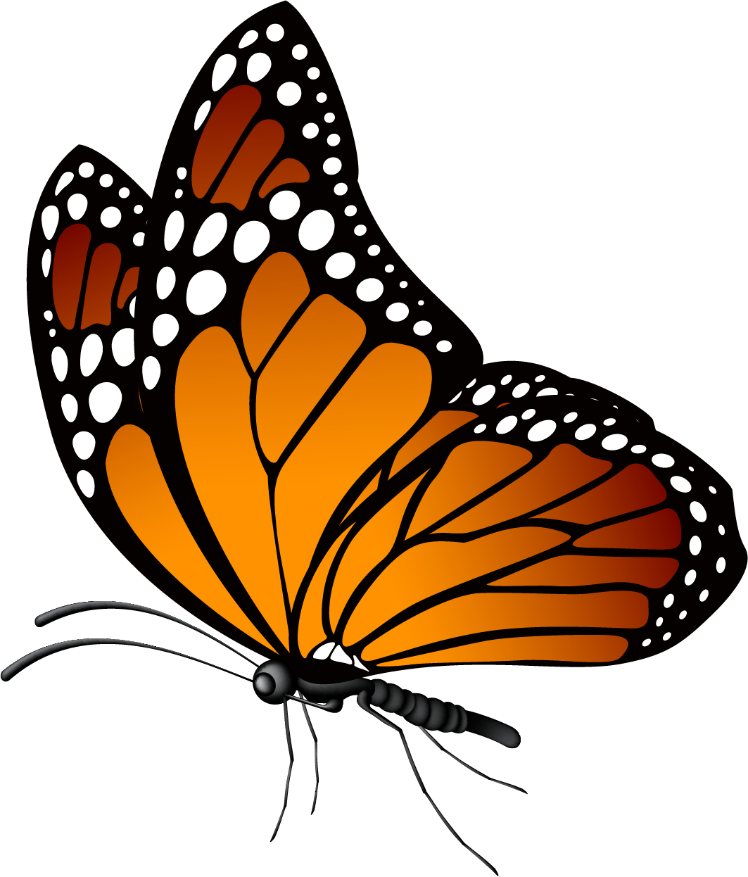 Congratulations! The PNG Image Has Been Downloaded (Monarch Png ...