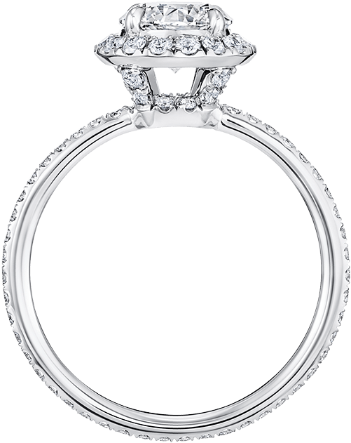 Congratulations! The PNG Image Has Been Downloaded (The One Ring Png ...