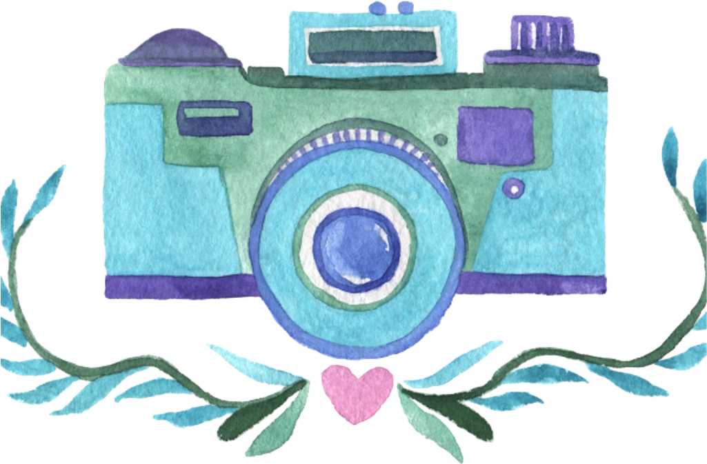 Congratulations! The PNG Image Has Been Downloaded (Cameras Png Desenho ...
