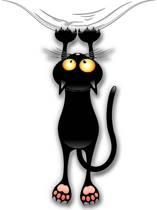 Congratulations! The PNG Image Has Been Downloaded (Fun Black Cat ...