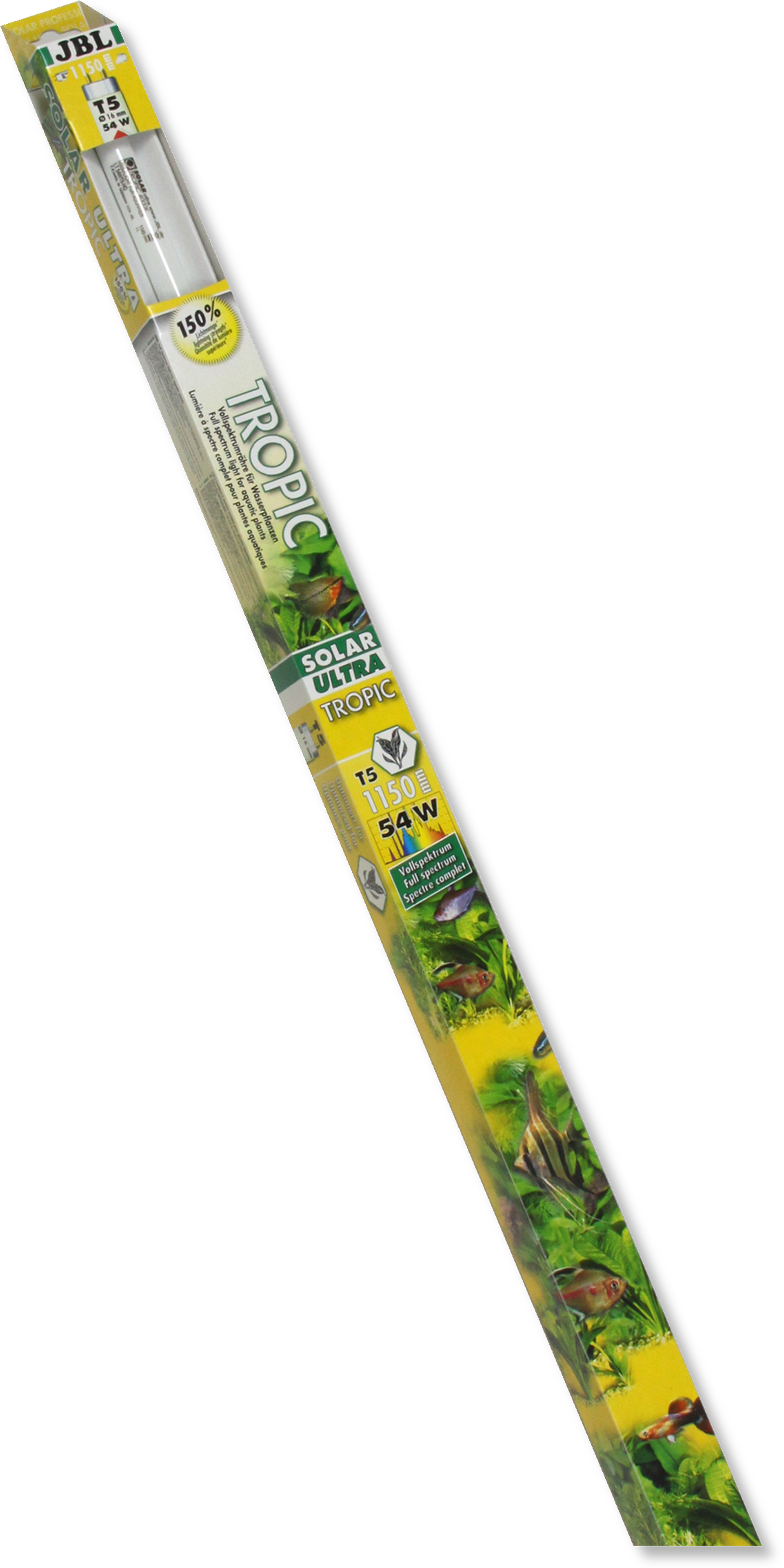 Congratulations! The PNG Image Has Been Downloaded (Jbl Solar Tropic ...