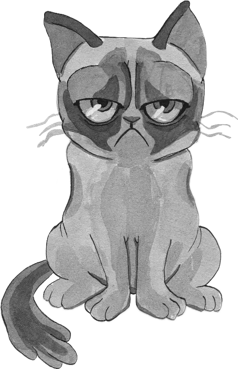 Congratulations! The PNG Image Has Been Downloaded (Grumpy Cat Png ...