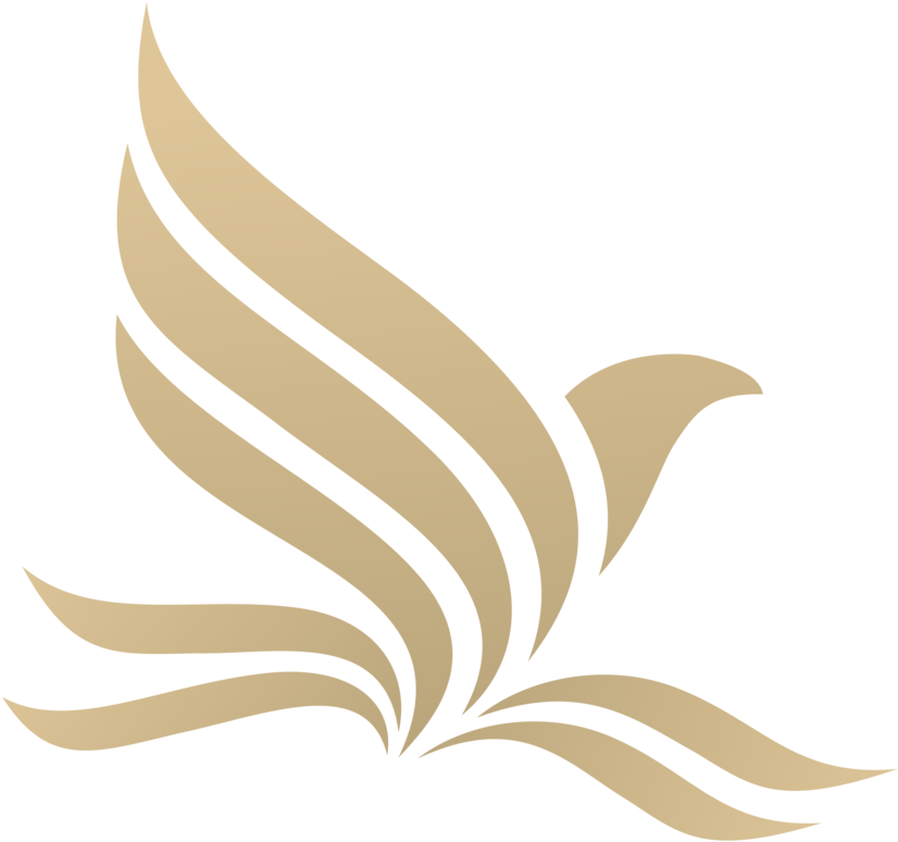 Congratulations! The PNG Image Has Been Downloaded (Dm Logo Gold ...