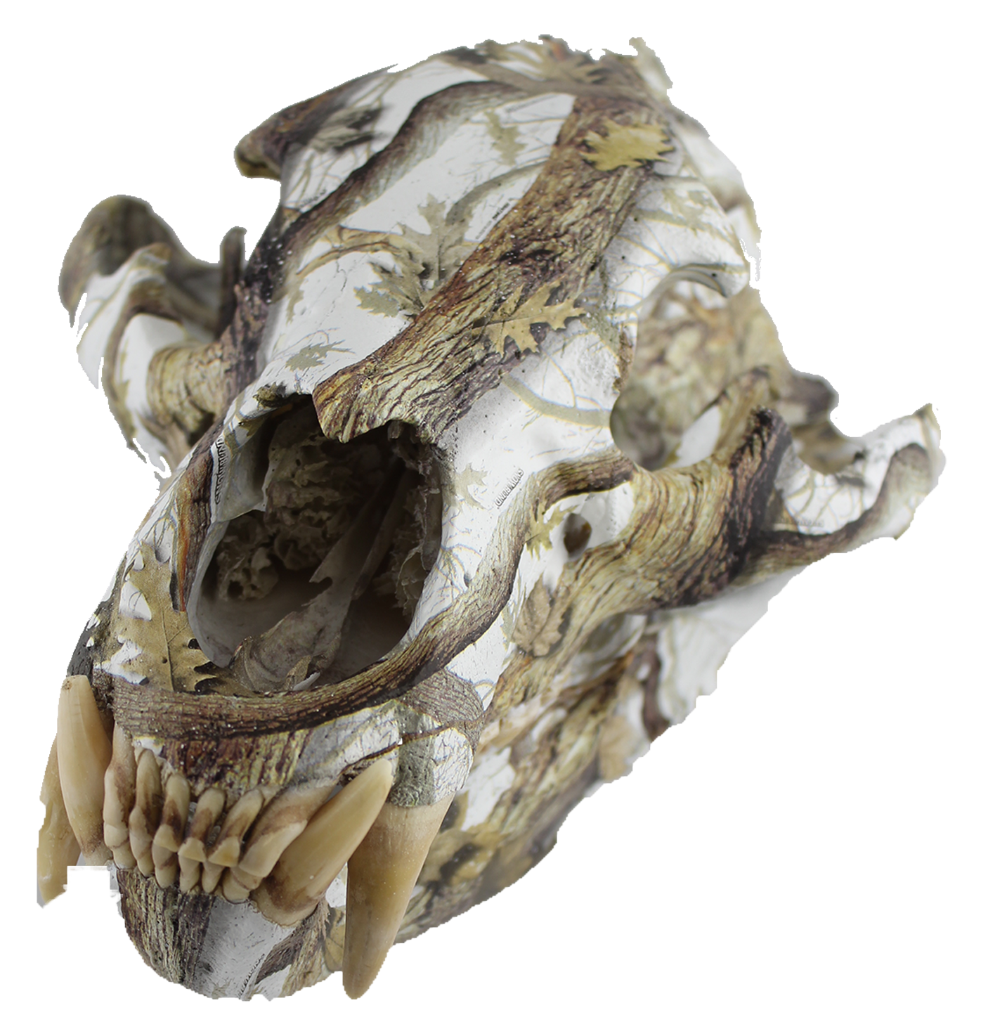 Congratulations! The PNG Image Has Been Downloaded (Transparent Animal ...