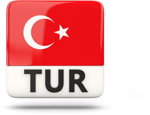 Congratulations! The PNG Image Has Been Downloaded (Vector Icon Turkey ...