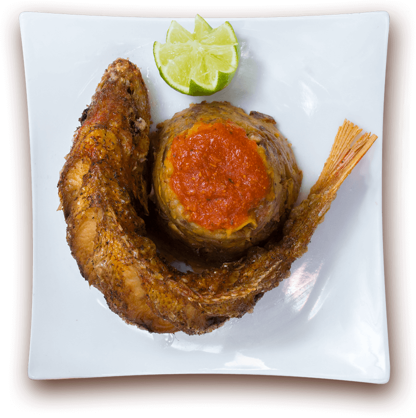 Congratulations! The PNG Image Has Been Downloaded (Onion Ring, HD Png ...