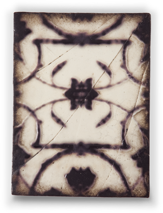 Congratulations! The PNG Image Has Been Downloaded (Transparent Spider ...