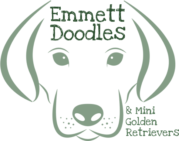 Congratulations! The PNG Image Has Been Downloaded (Emmett ...