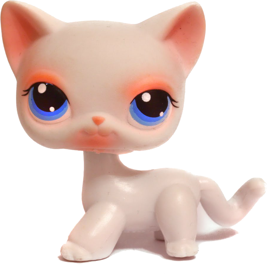 Congratulations! The PNG Image Has Been Downloaded (Lps Png » Png Image ...