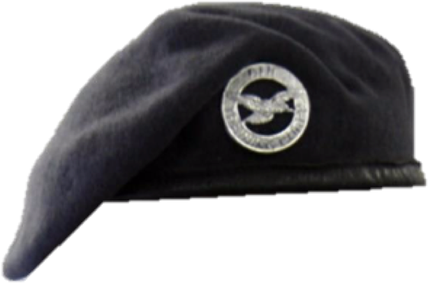 Congratulations! The PNG Image Has Been Downloaded (The Air Cadet Beret ...