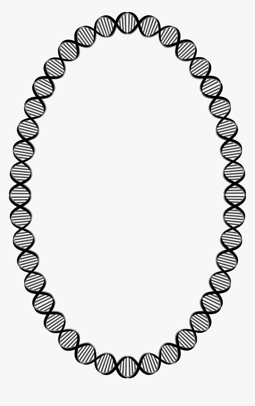 Banner Clipart Fancy - Dna On A Paper Outline, HD Png Download ...
