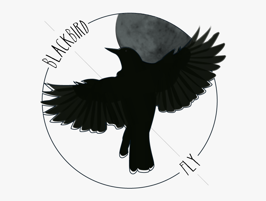 Blackbird Art Drawing Northern Flicker The Beatles - Cow Head Clipart ...
