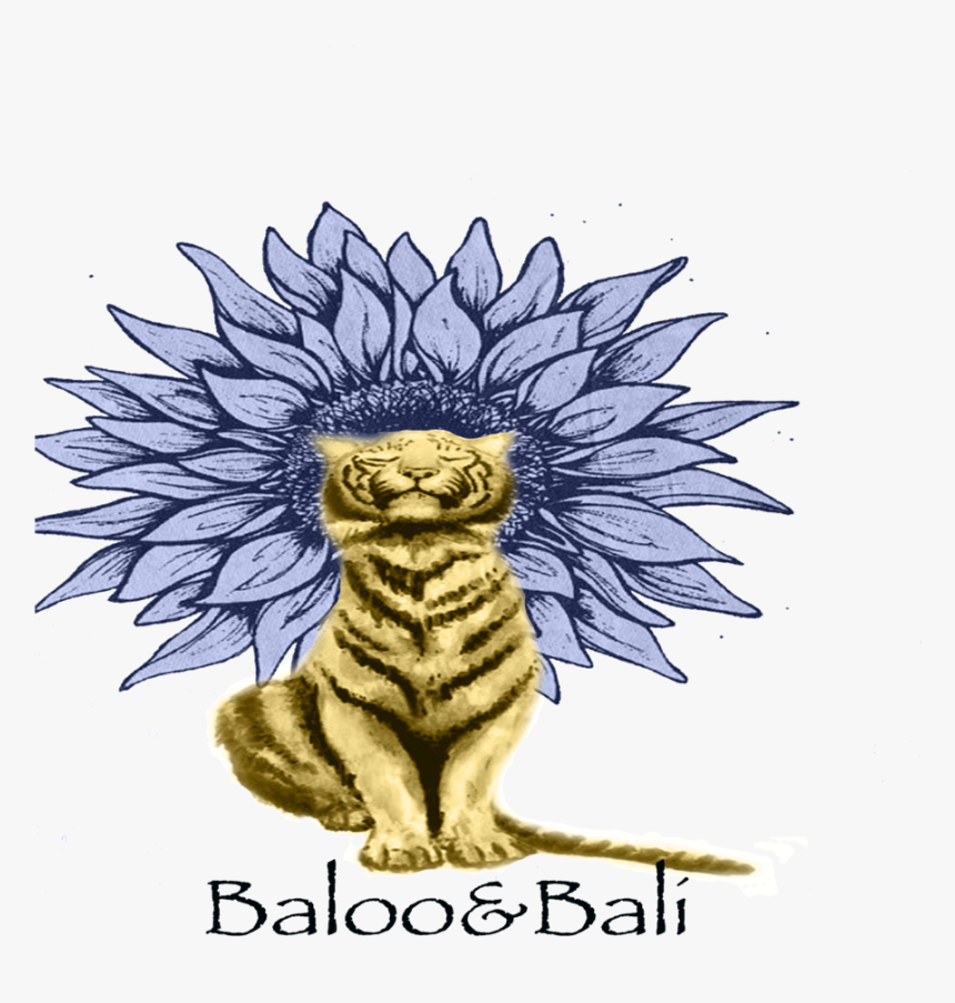Baloo Png, Transparent Png , Transparent Png Image - PNGitem