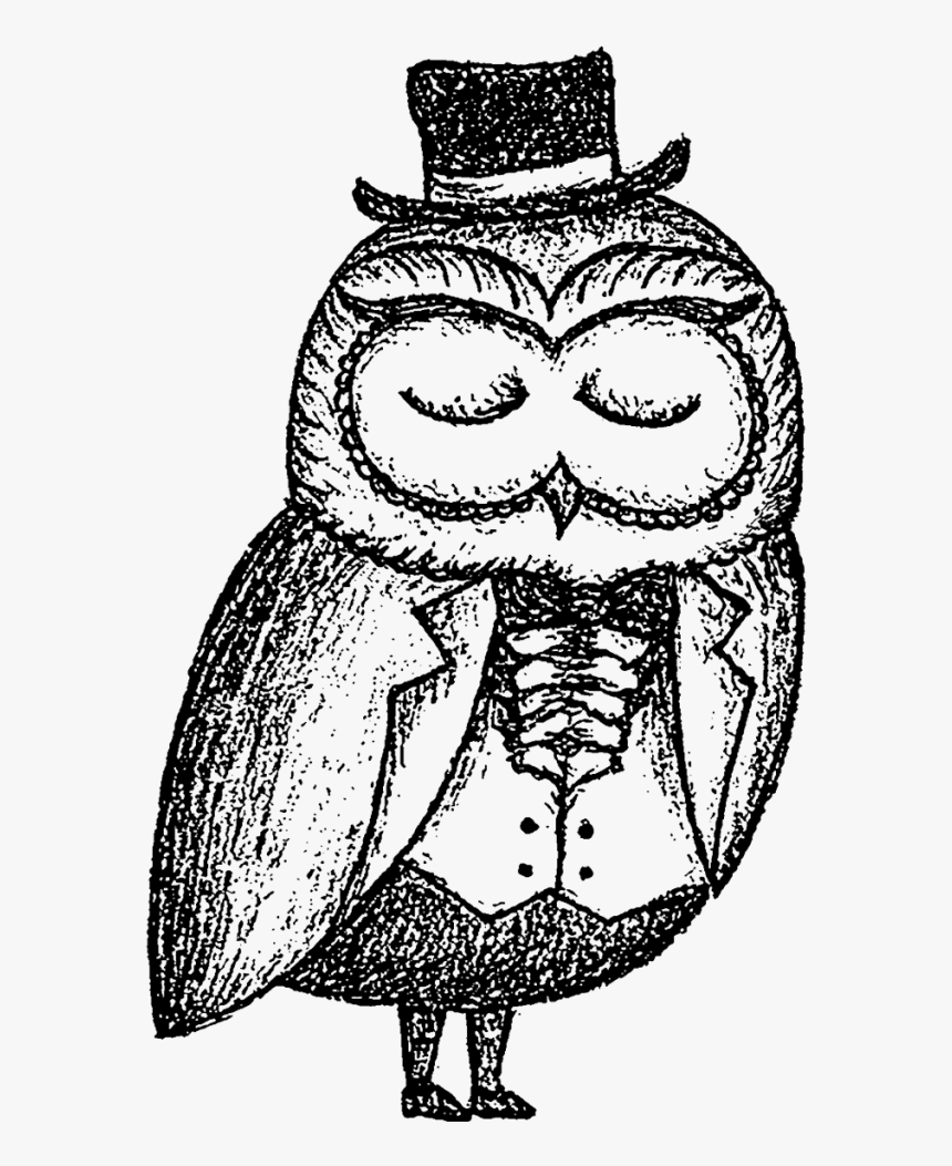 Bean Curious, HD Png Download , Transparent Png Image - PNGitem