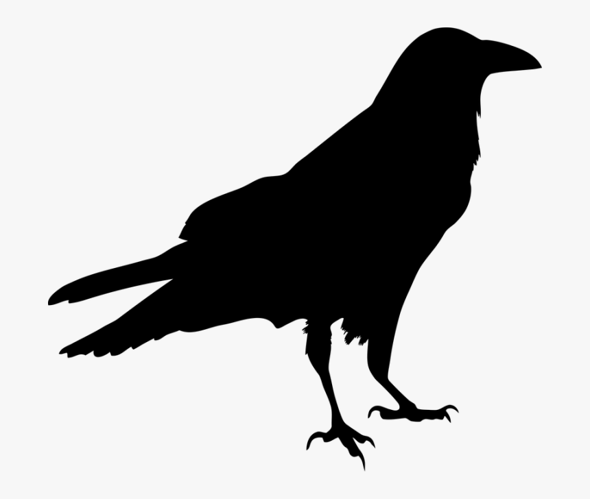 Raven Head Silhouette