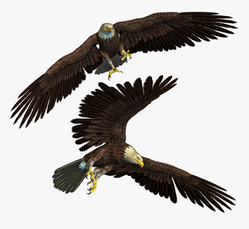 Editing Png Images For Photoshop, Transparent Png , Transparent Png ...