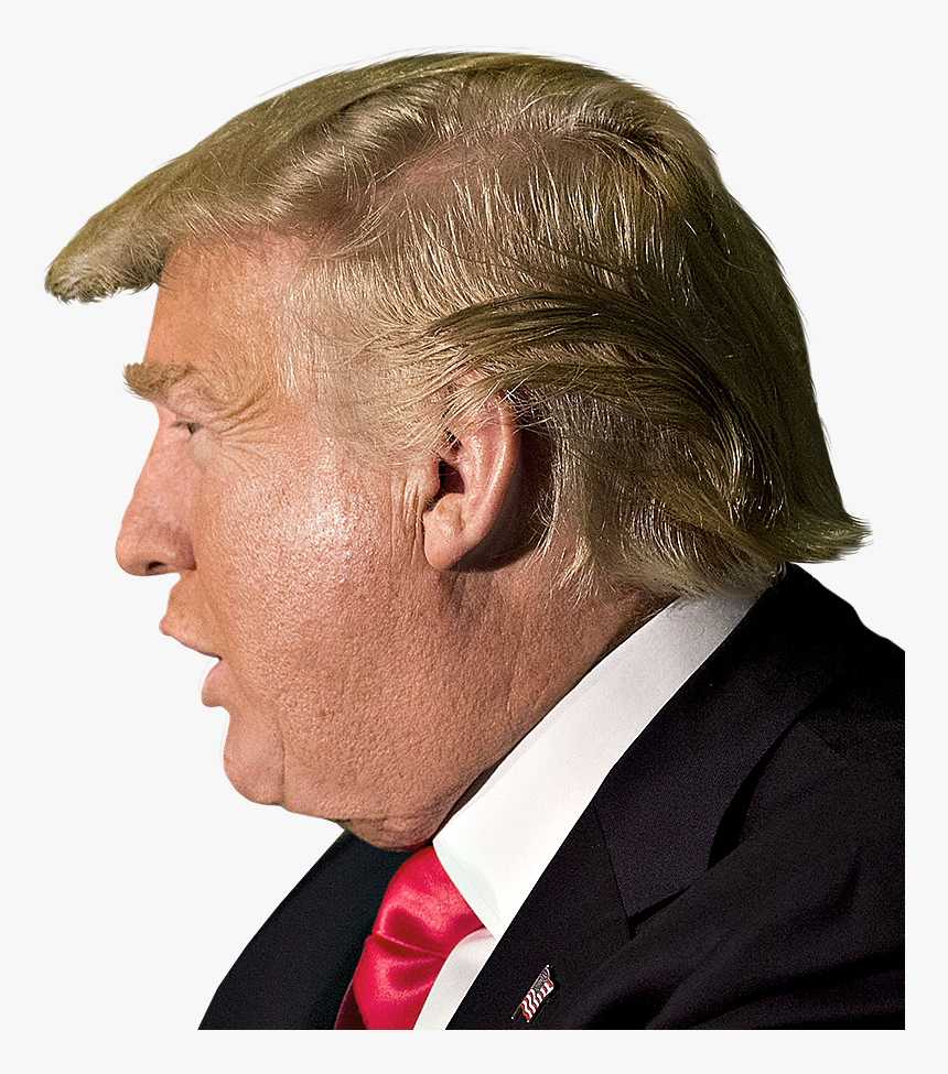 Donald Trump Head Will See You Un Court Png Clipart - Donald Trump Side ...