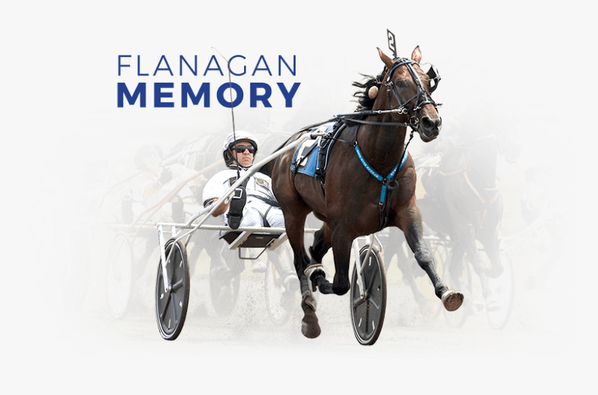 Harness Racing, HD Png Download , Transparent Png Image - PNGitem