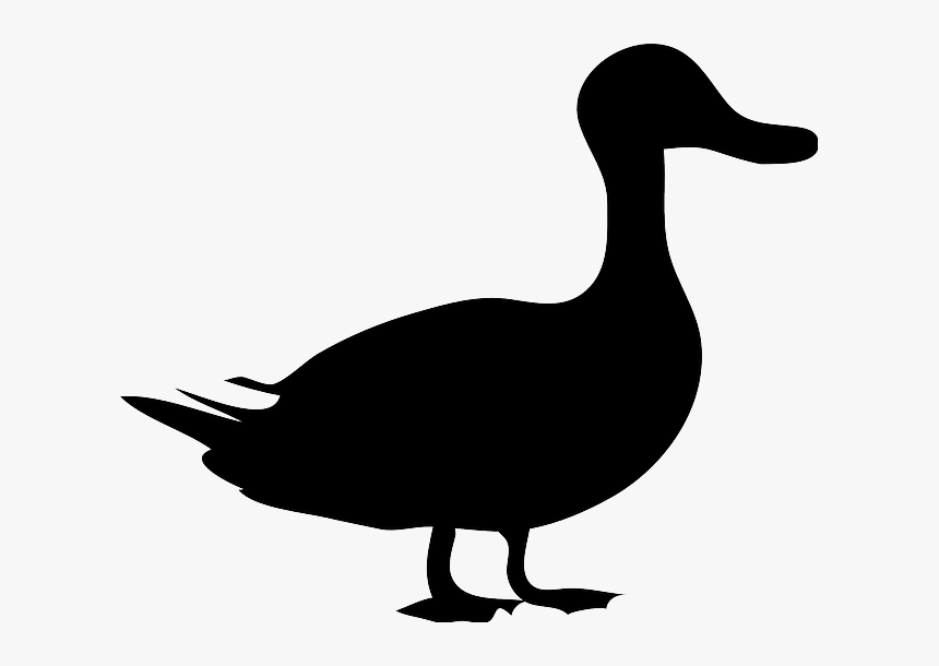 Black Duck - Shadow Of Animals Clipart, HD Png Download , Transparent ...